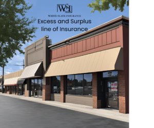 Excess and Surplus Insurance (E&S)
