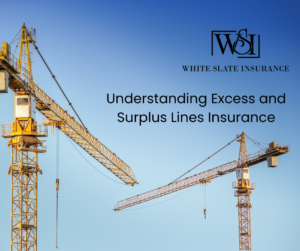 Excess and Surplus Lines Insurance